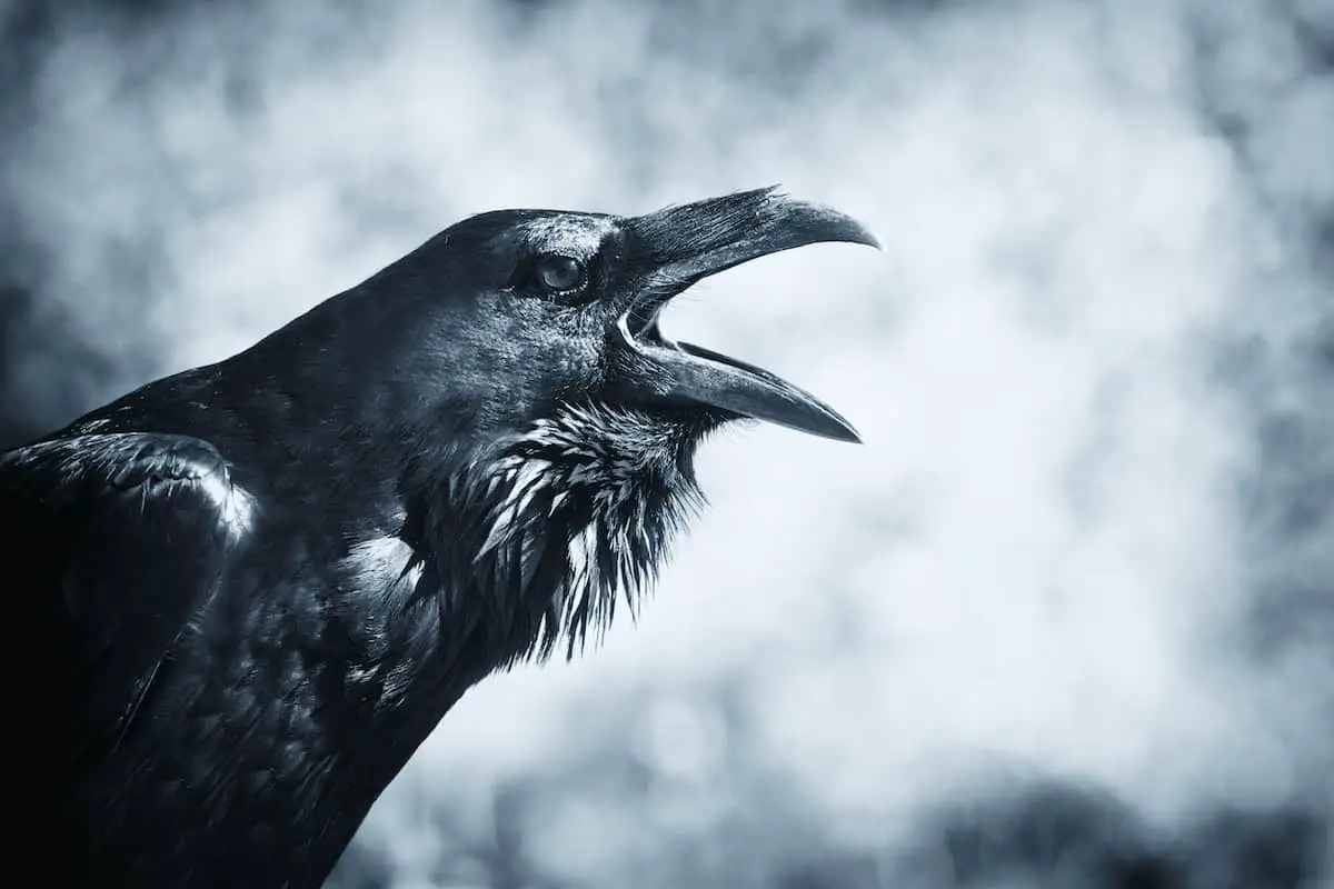 The Mysterious Raven Tattoo: Symbolism, Meanings, and Interpretations ...